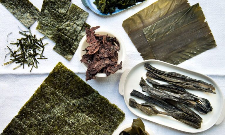Descubre las algas marinas bio: beneficios, usos y tips de compra