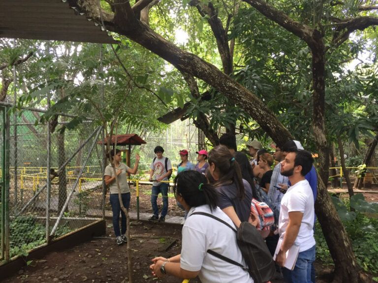 Rescate y rehabilitación de animales: Centros de recuperación de fauna ...