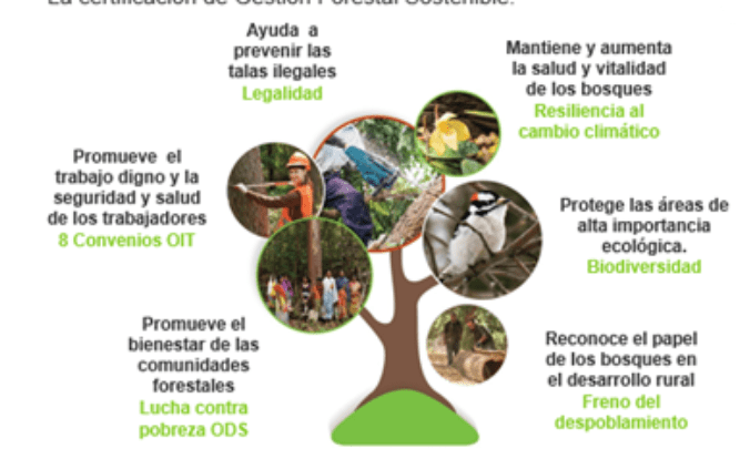 Hábitats de especies amenazadas: conservación y protección